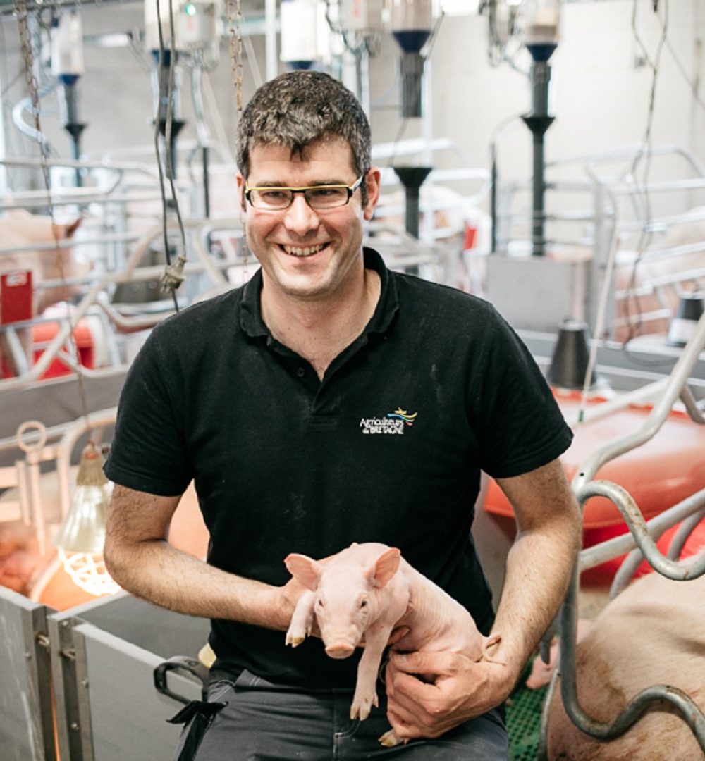 Pig farming - Eureden EN
