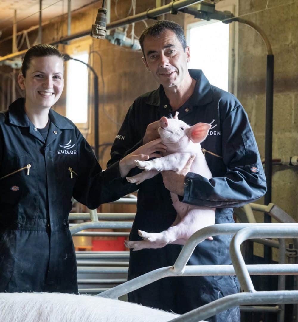 Pig farming - Eureden EN