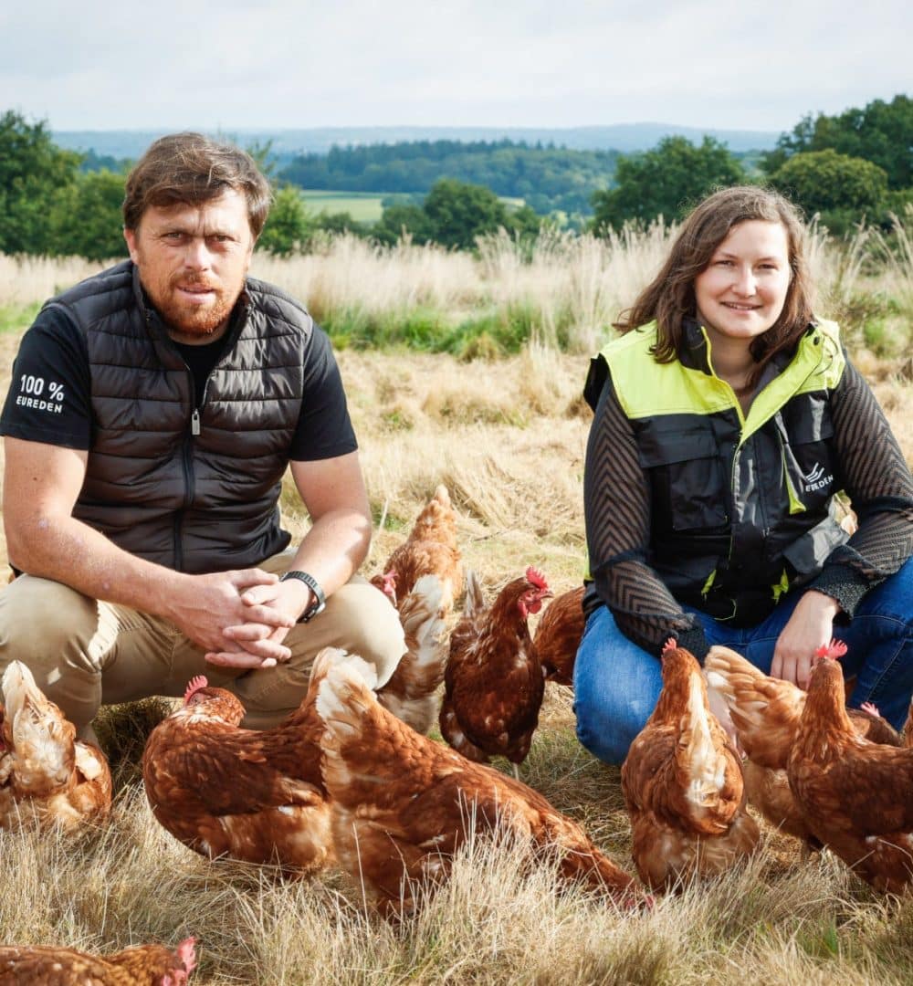 Egg production - Eureden EN