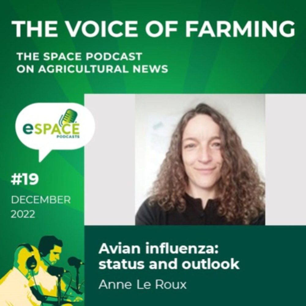 Home - D'aucy et Triskalia deviennent Eureden