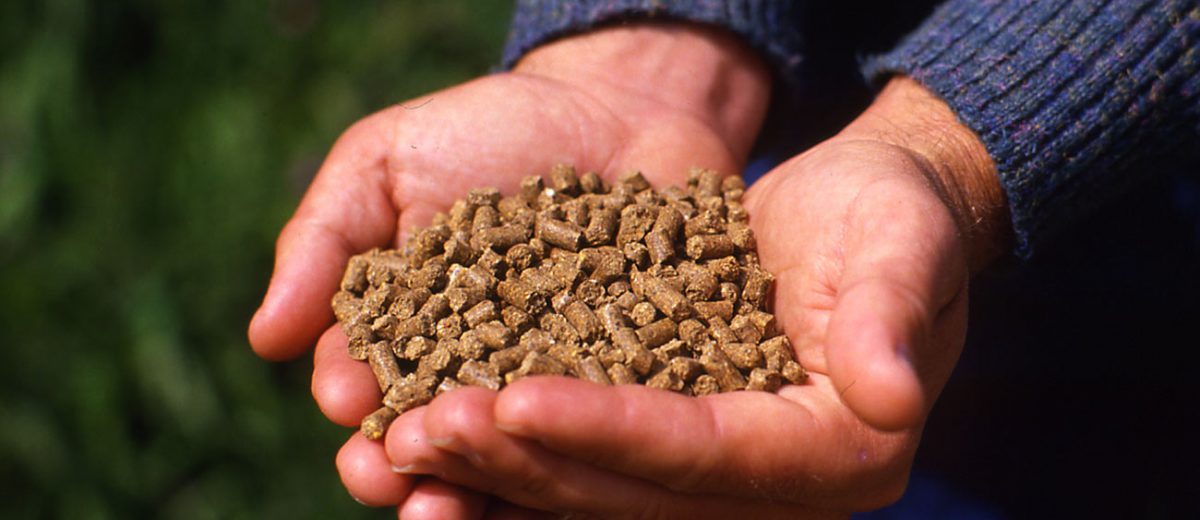 EUREDEN | Activités - Agriculture - L'alimentation animale