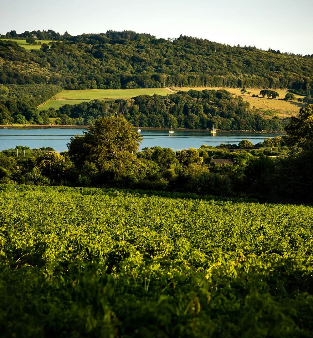 EUREDEN | Groupe agroalimentaire coopératif breton - BIENVENUE