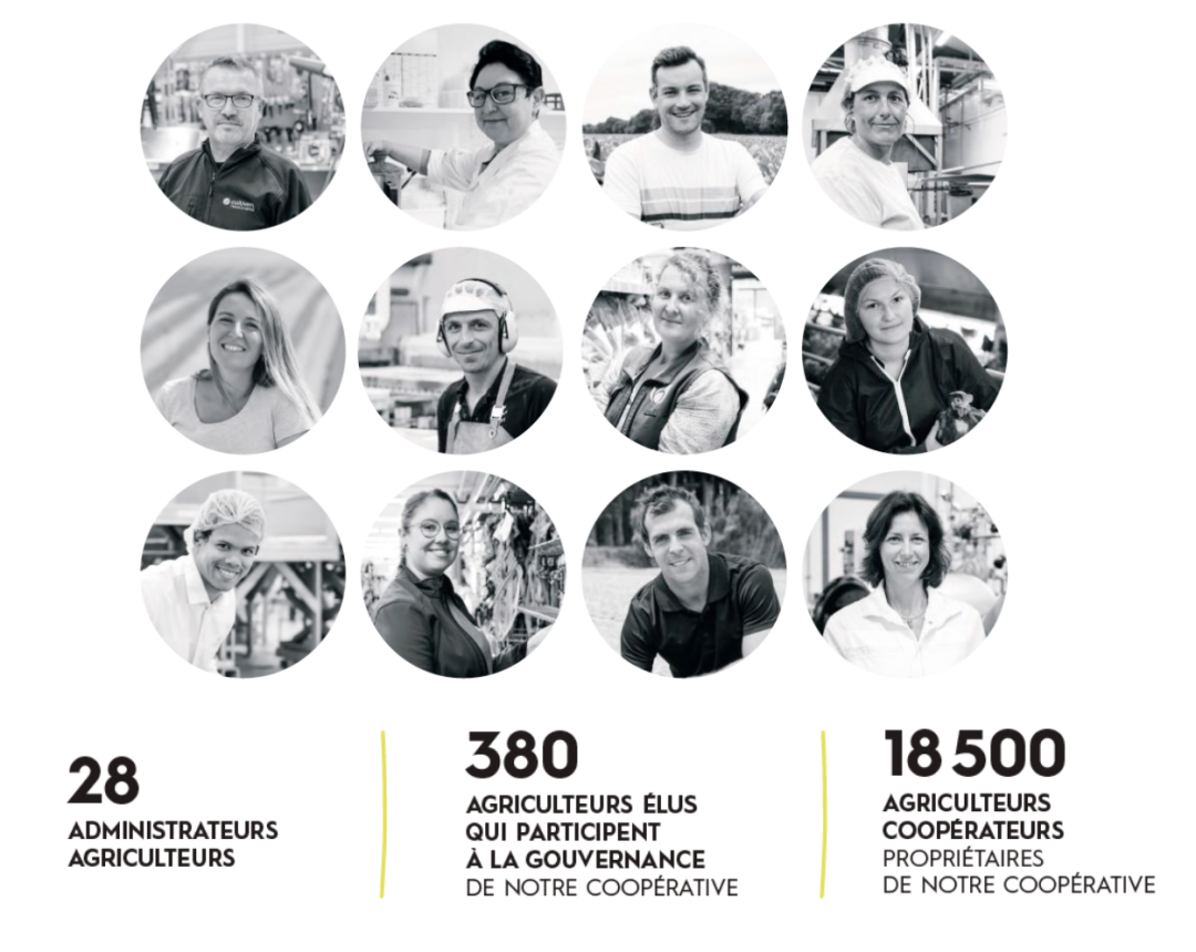 EUREDEN | Découvrez les chiffres clés de notre Groupe coopératif